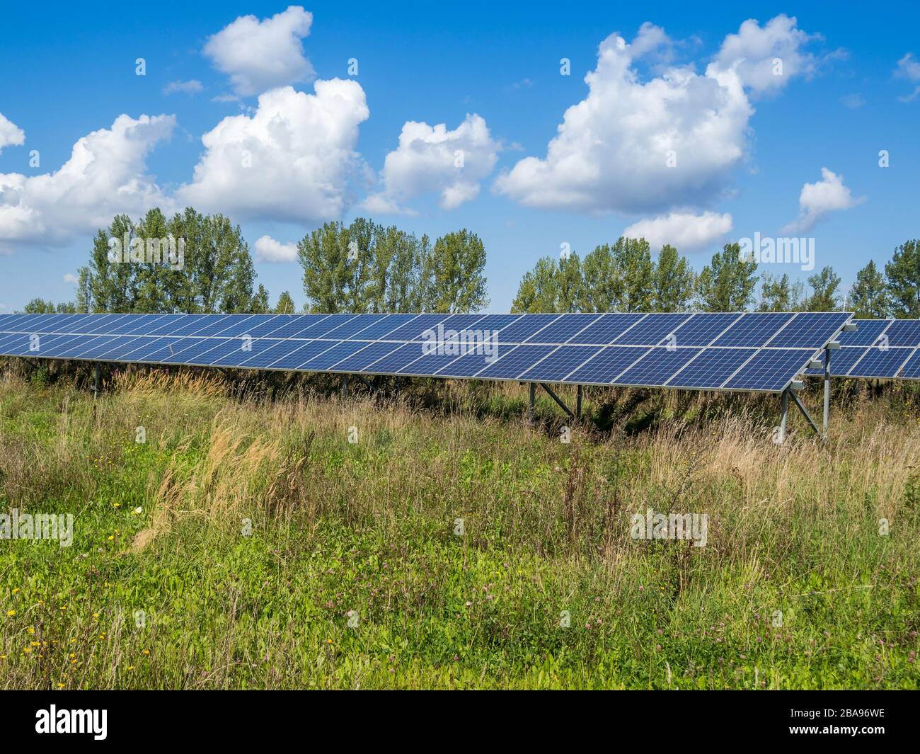 Field with solar panel Solar energy Stock Photo - Alamy