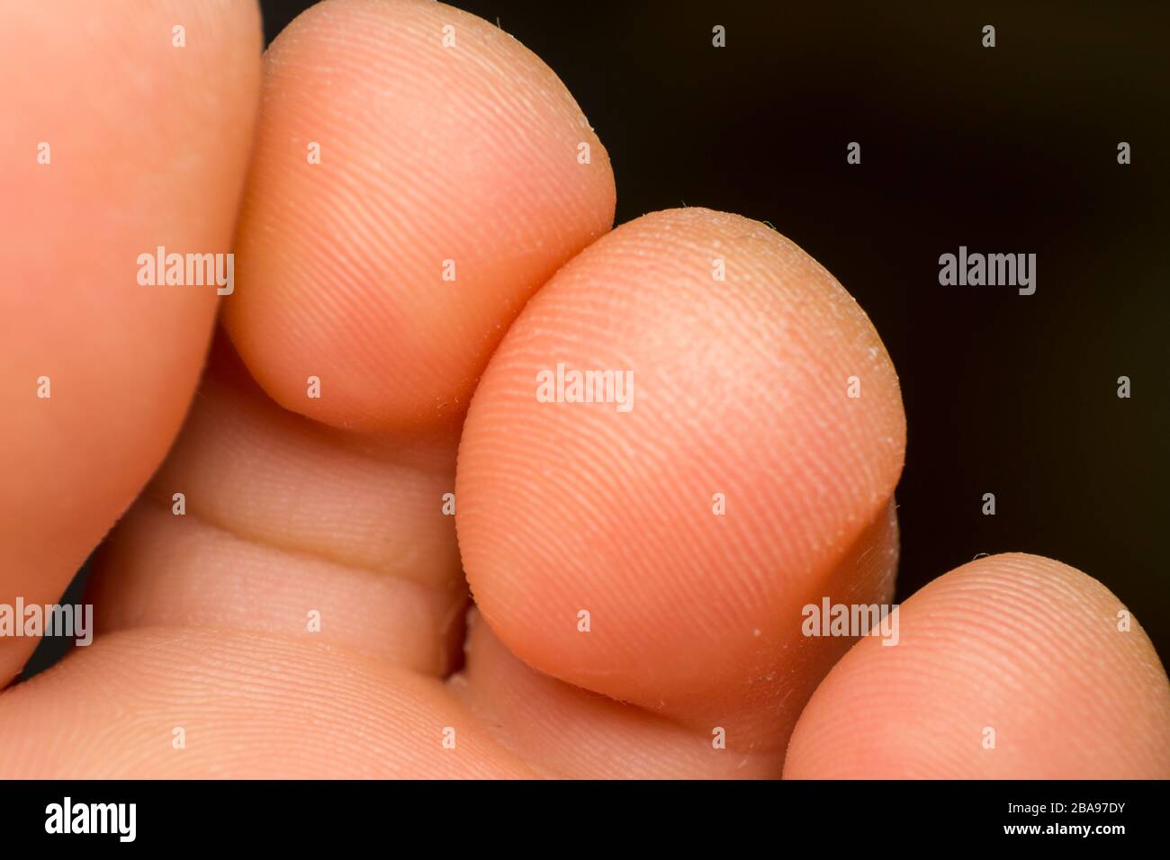 close-up photo of a child toes Stock Photo - Alamy