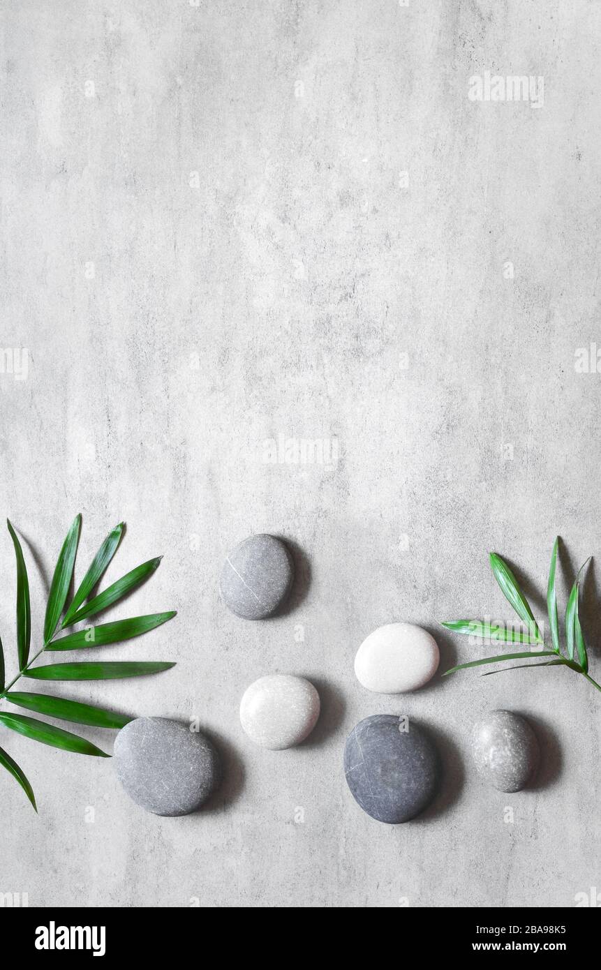Grey spa background, spa concept, palm leaves and grey stones, top view ...