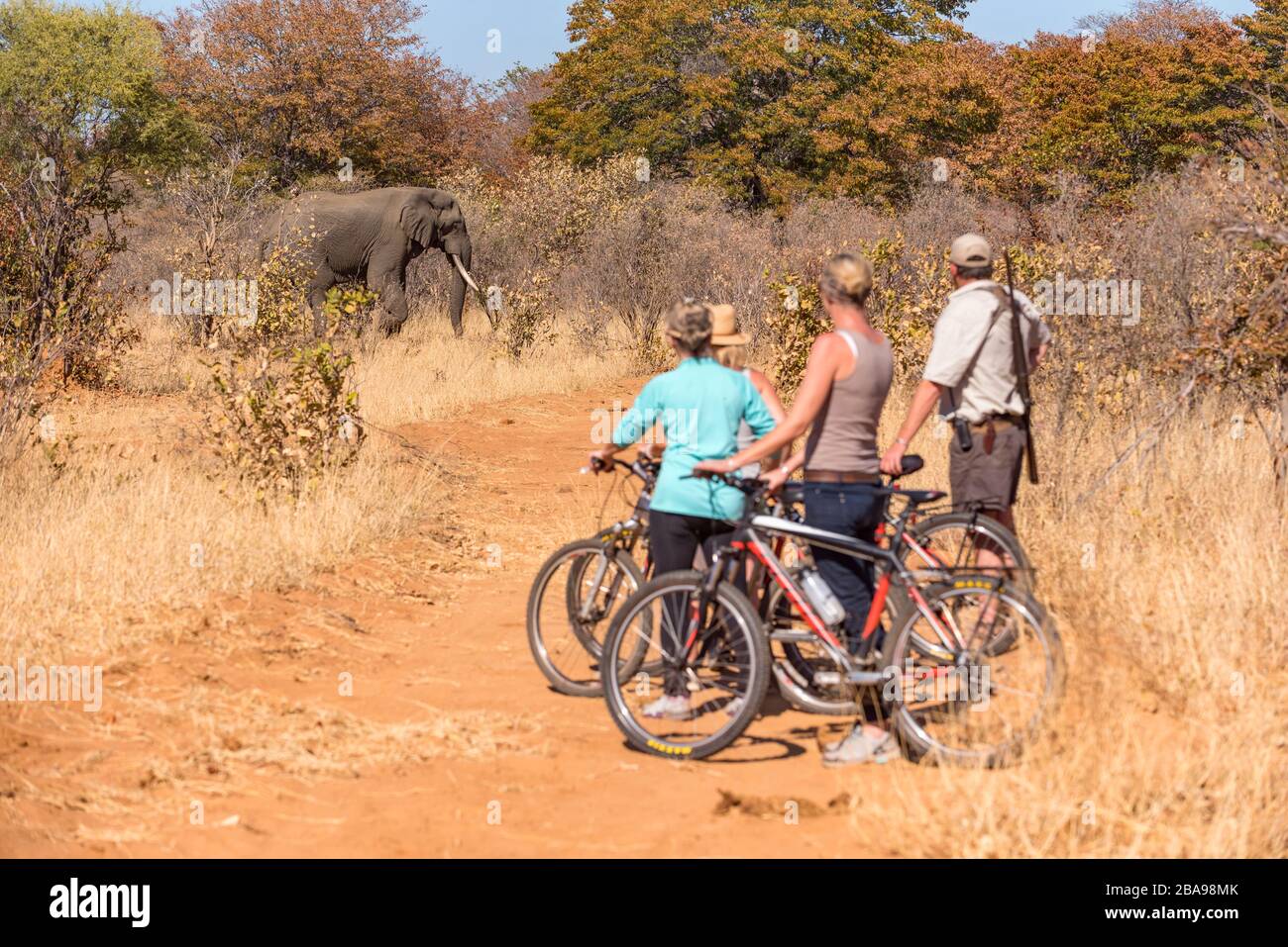 Imvelo safari lodges hi-res stock photography and images - Alamy