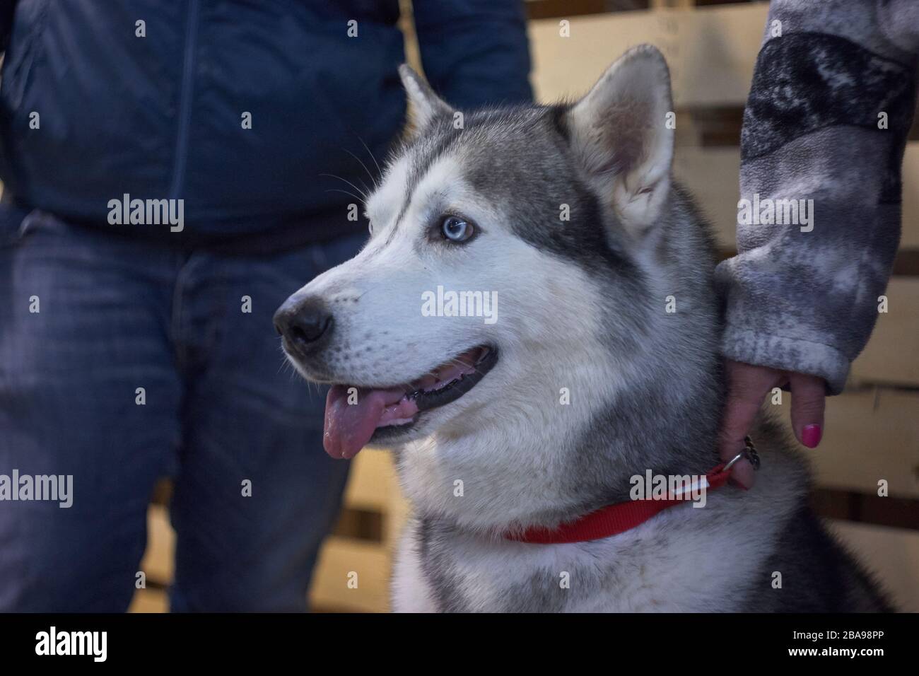 Aski hi-res stock photography and images - Alamy