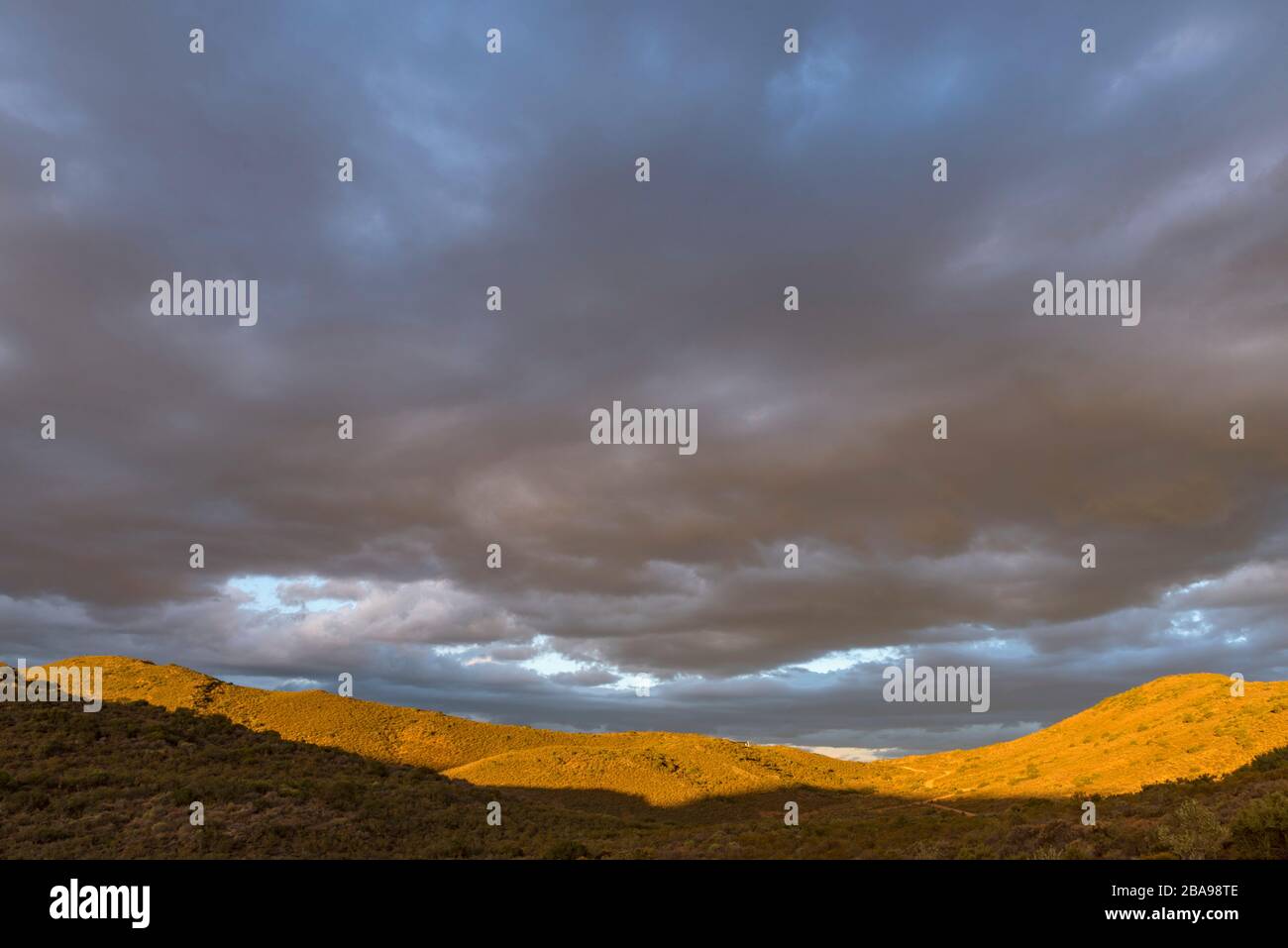 Langeberg mountain range, Western Cape, South Africa Stock Photo - Alamy