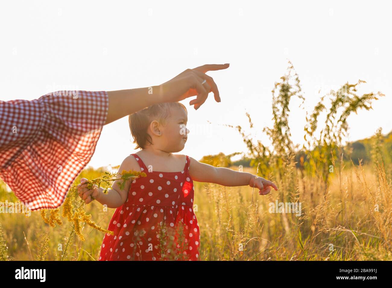 Mother indicates the direction of the baby. Female and children's hand ...