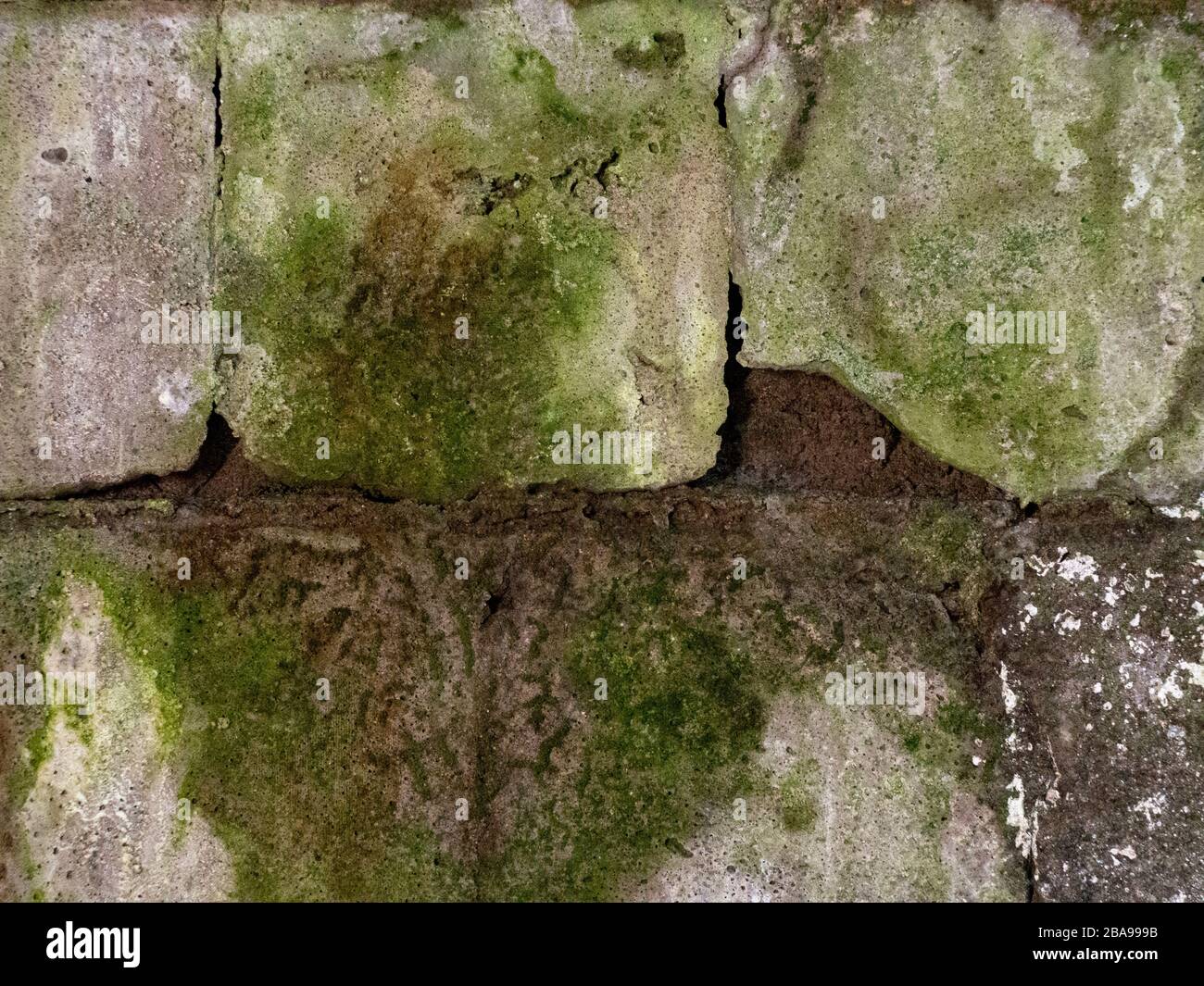 Moldy brick hi-res stock photography and images - Alamy