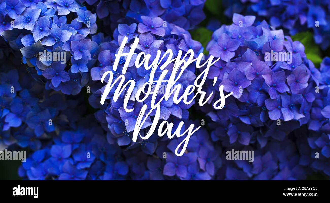 Happy Mothers Day words. Beautiful and tender bouquet of flowers in the ...