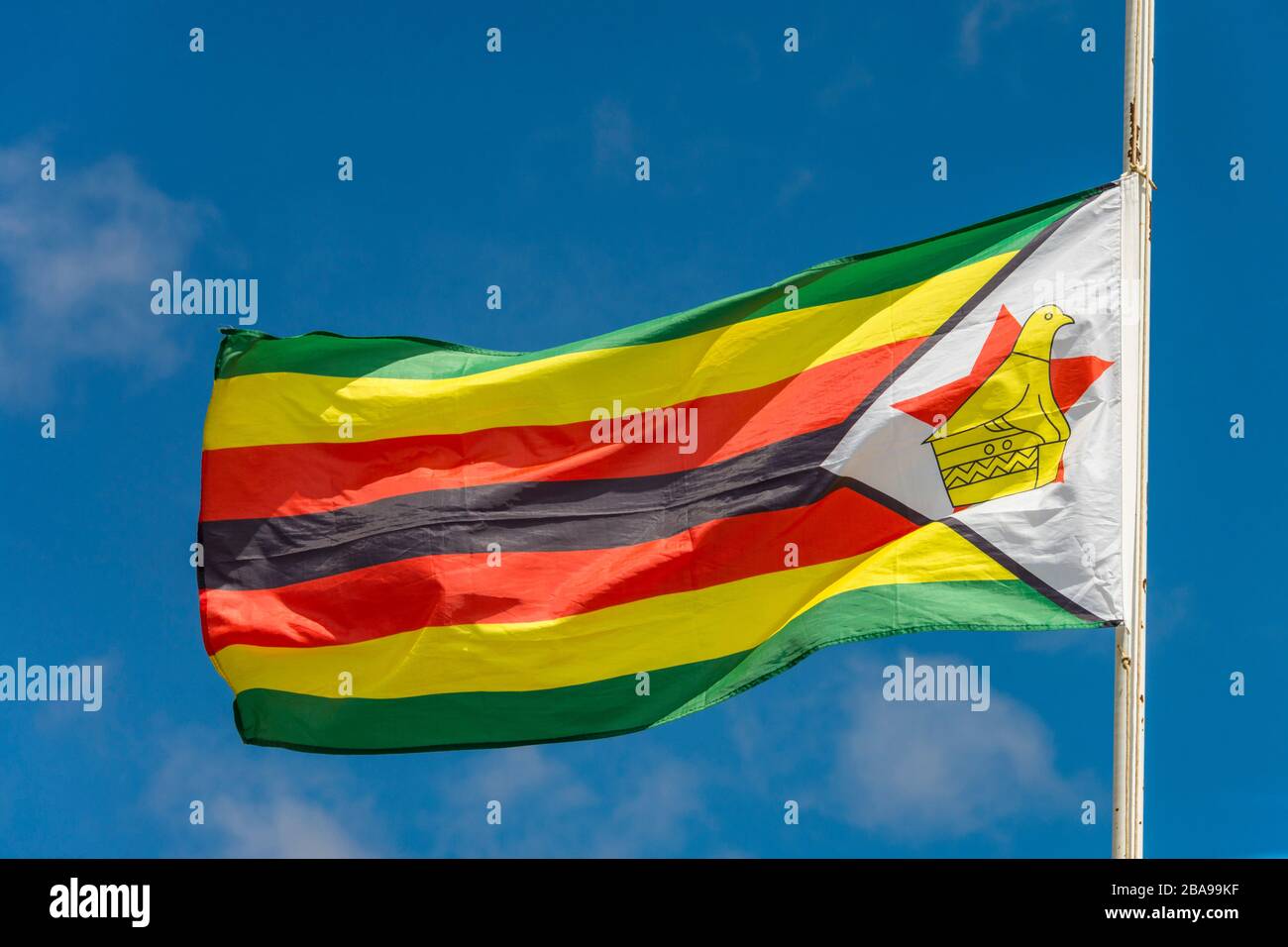 Zimbabwean bird on flag hi-res stock photography and images - Alamy
