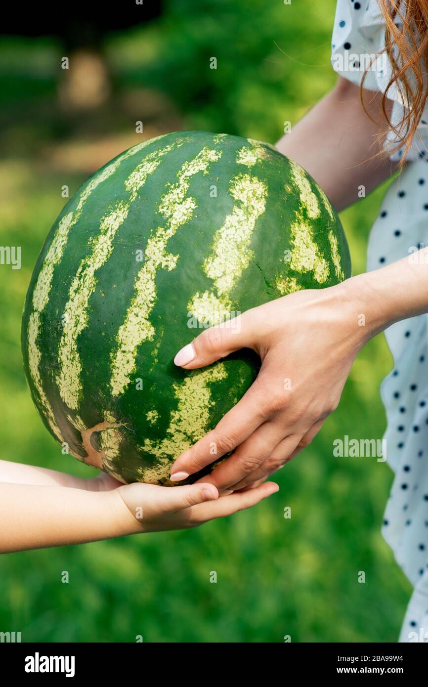 Watermelon Carry High Resolution Stock Photography and Images - Alamy