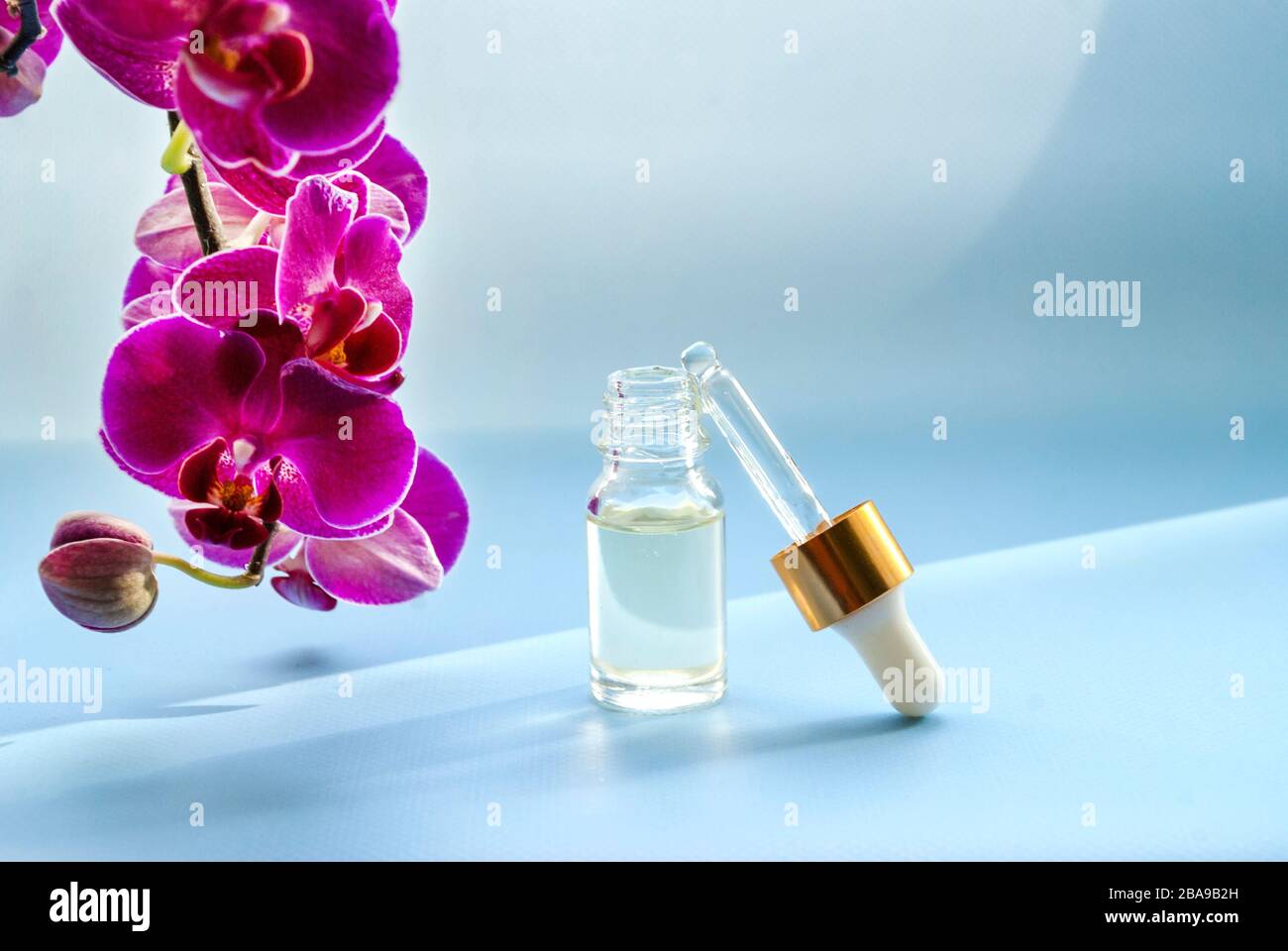 Cosmetic oil, transparent bottle with a dropper, pink orchid, light ...