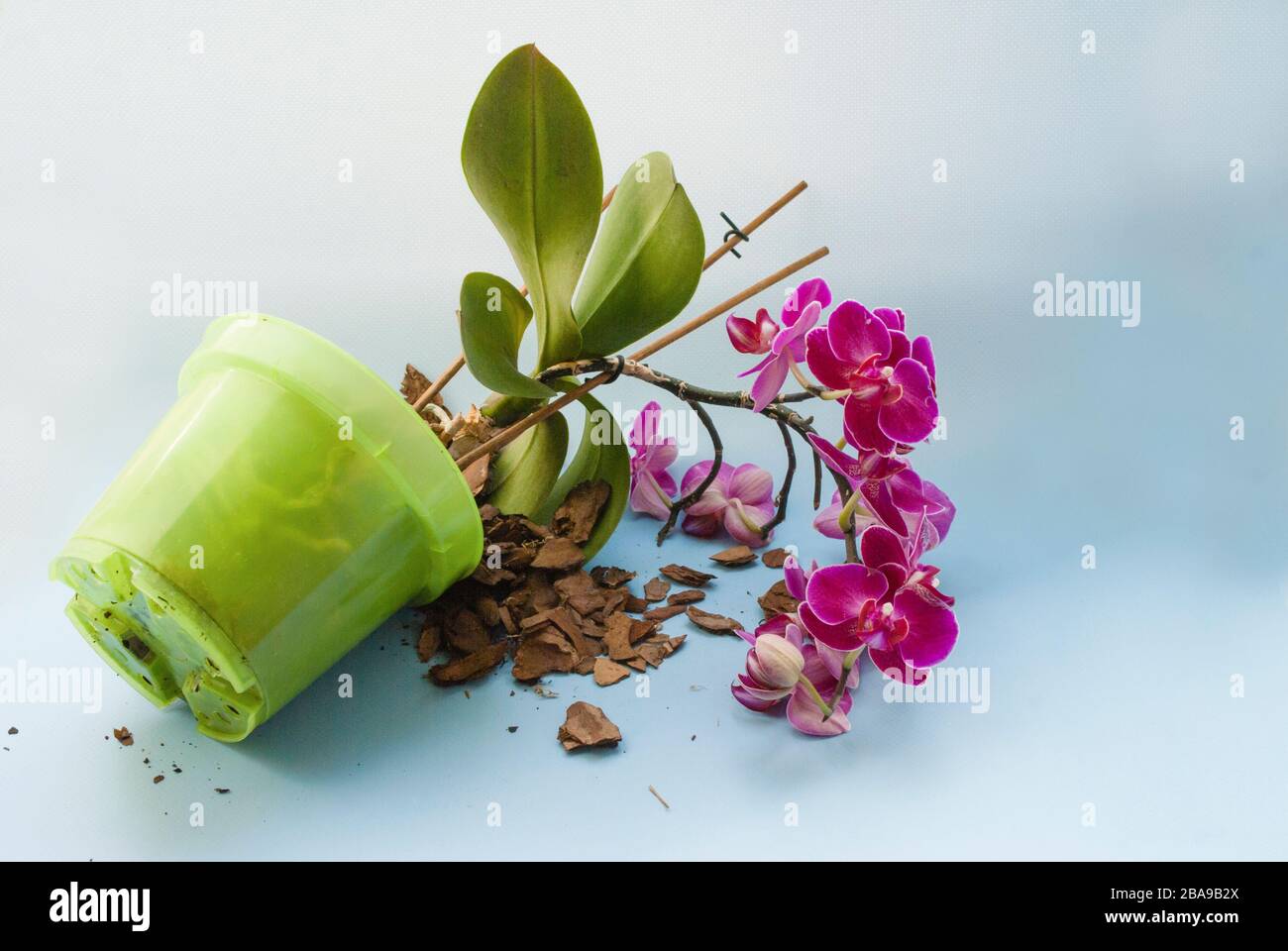 Overturned pot hi-res stock photography and images - Alamy