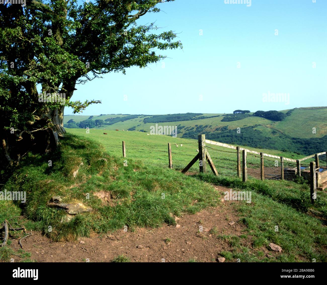 South west coastal path minehead hi-res stock photography and images ...