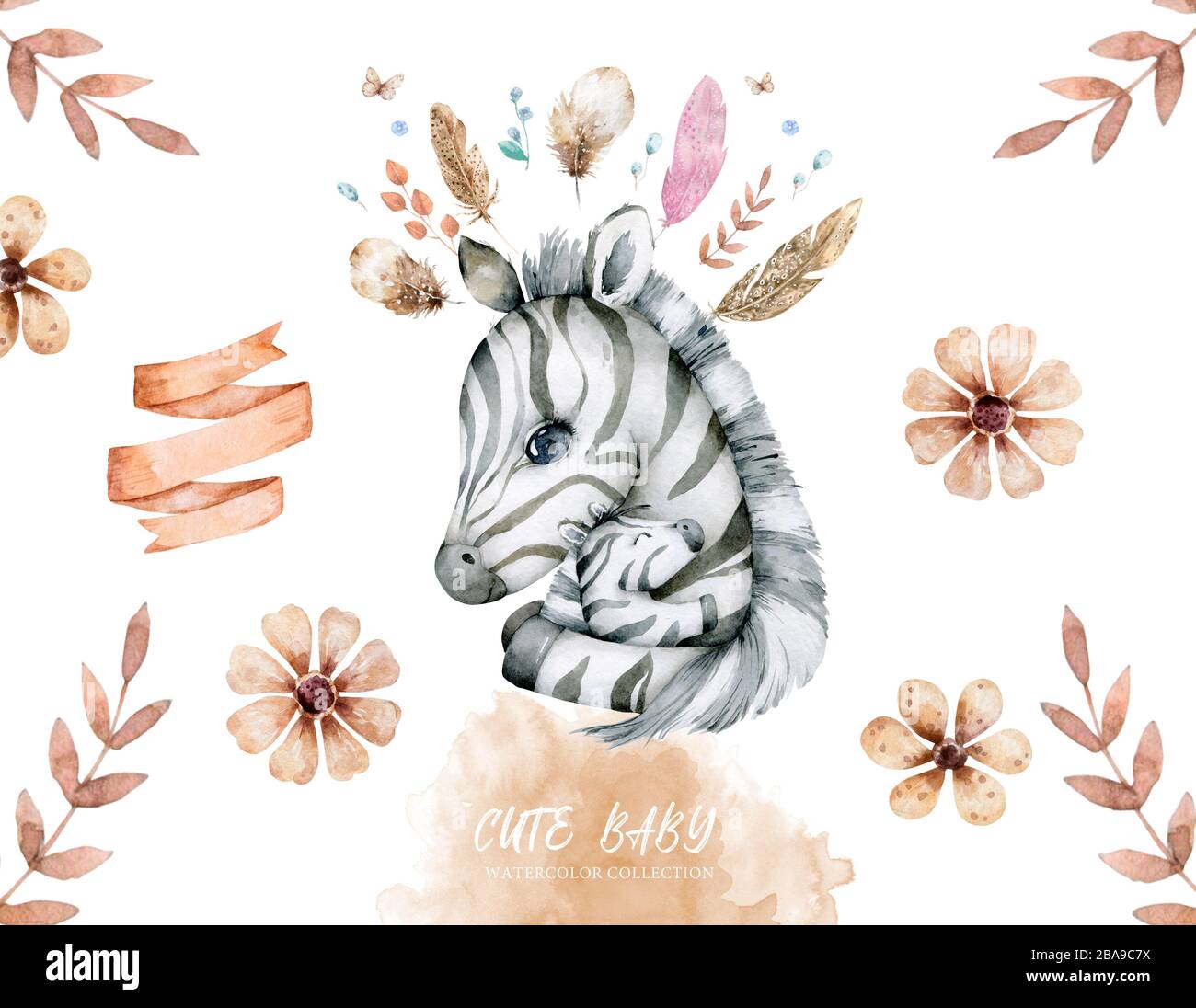 Cute baby zebra cartoon illstration Stock Photo - Alamy