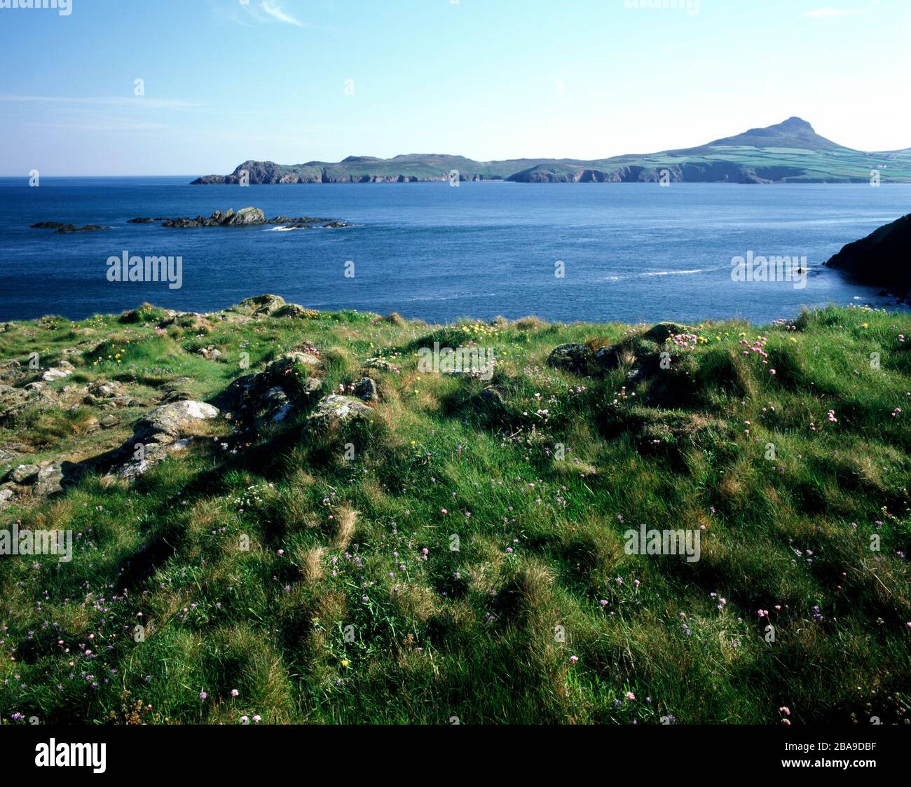 St davids wales hi-res stock photography and images - Alamy