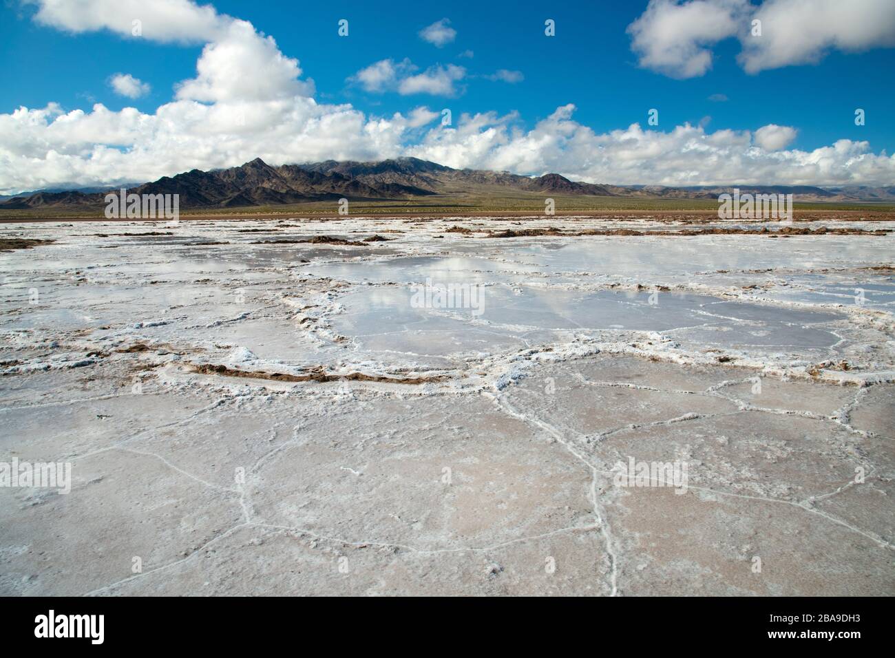The salt plain hi-res stock photography and images - Alamy