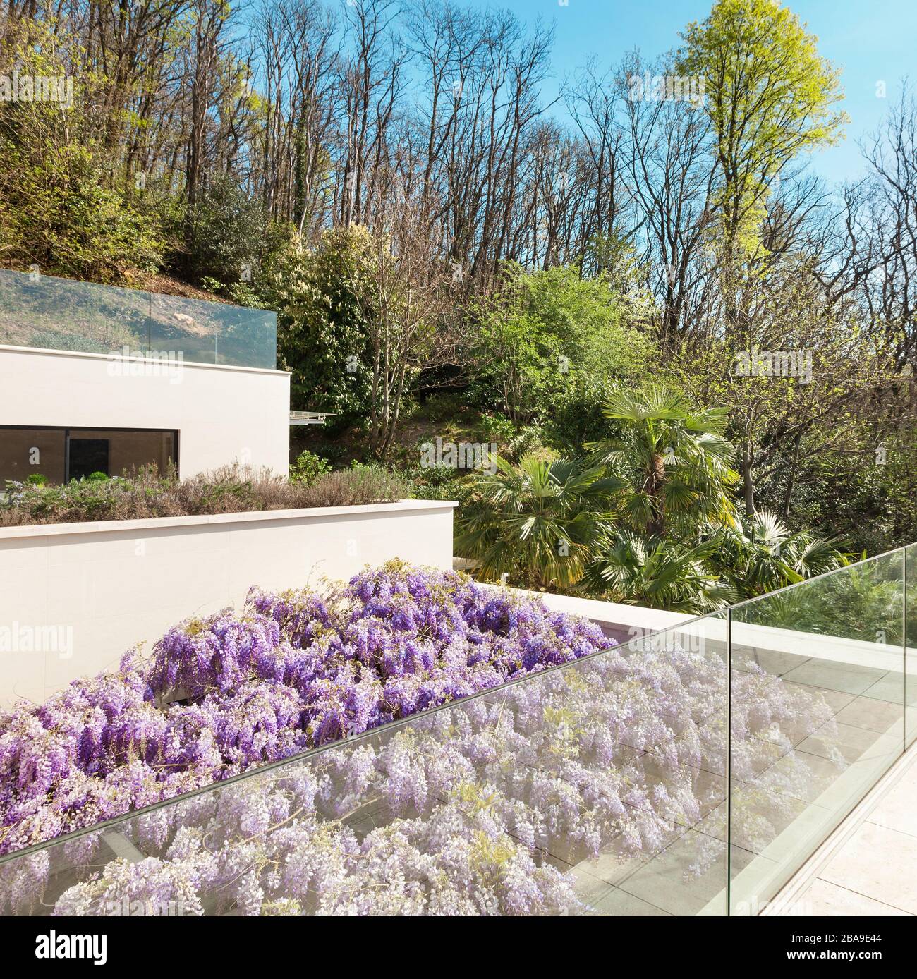 architecture, modern house, veranda with wisteria, top view Stock Photo ...