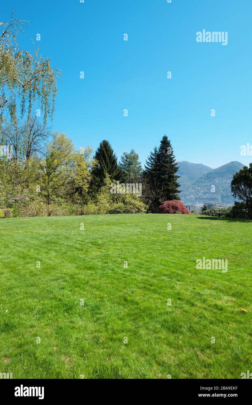 Garden trees grass lawn hi-res stock photography and images - Alamy