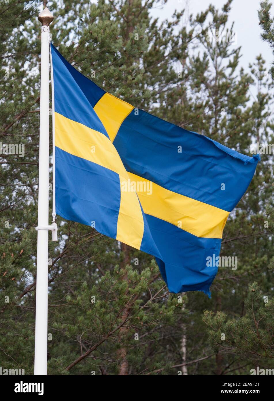 Poole flag hi-res stock photography and images - Alamy