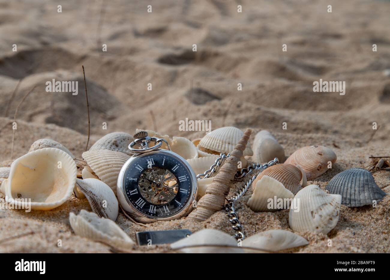 Antique pocket watch and shells in sand on the beach and copy space ...