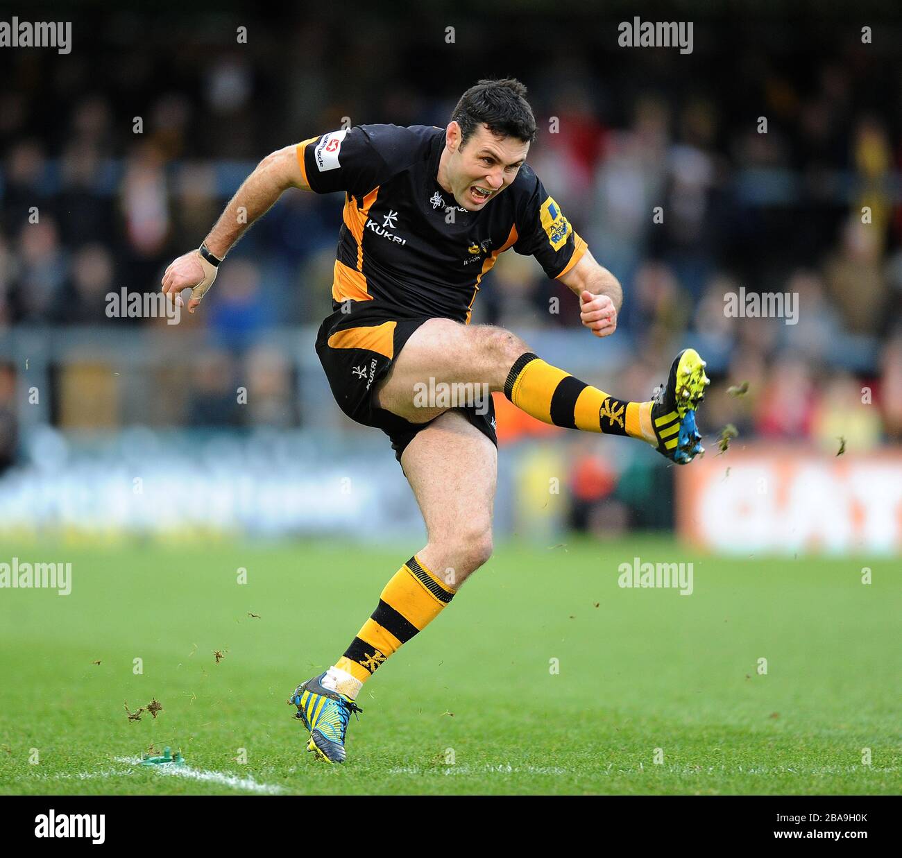 London wasps stephen jones hi-res stock photography and images - Alamy