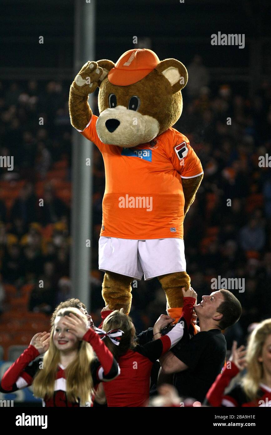 Blackpool's mascot Bloomfield Bear with cheerleaders before kick-off ...
