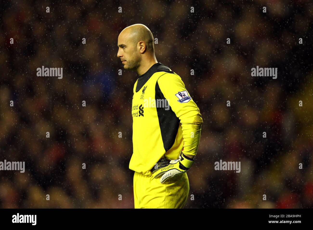 Liverpool goalkeeper Pepe Reina Stock Photo - Alamy