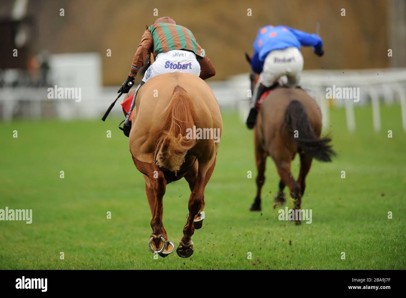 Betting app general hi-res stock photography and images - Alamy
