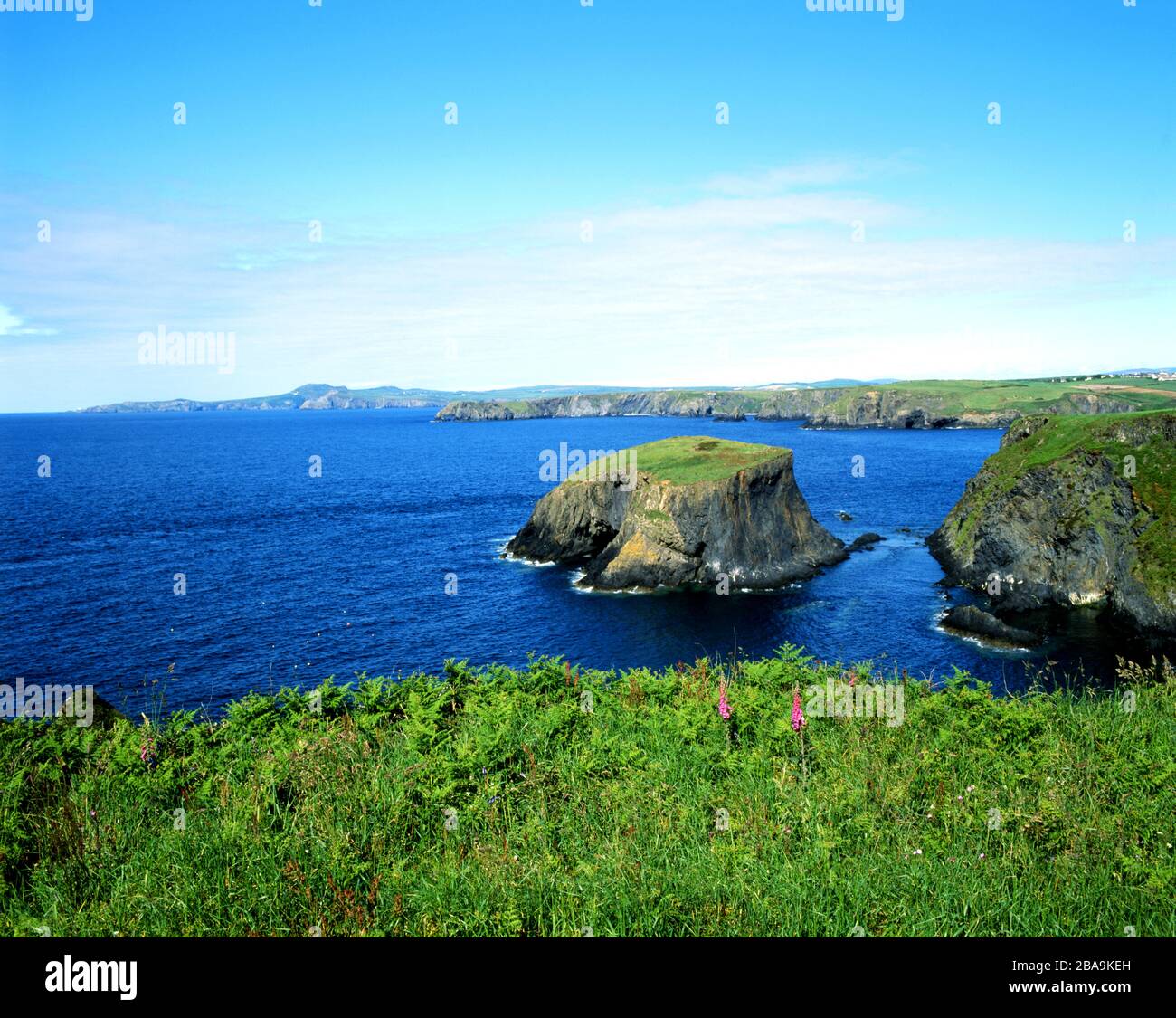 Cliffs at Trefin, Brocastle, Pembrokeshire, West Wales Stock Photo - Alamy