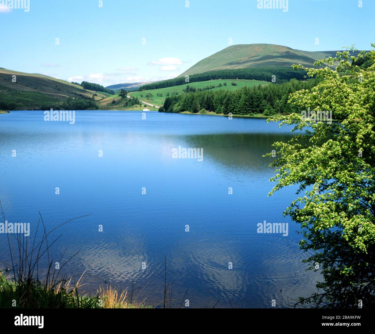 Cantref Reservoir, Brecon Beacons National Park, Powys, Wales Stock ...