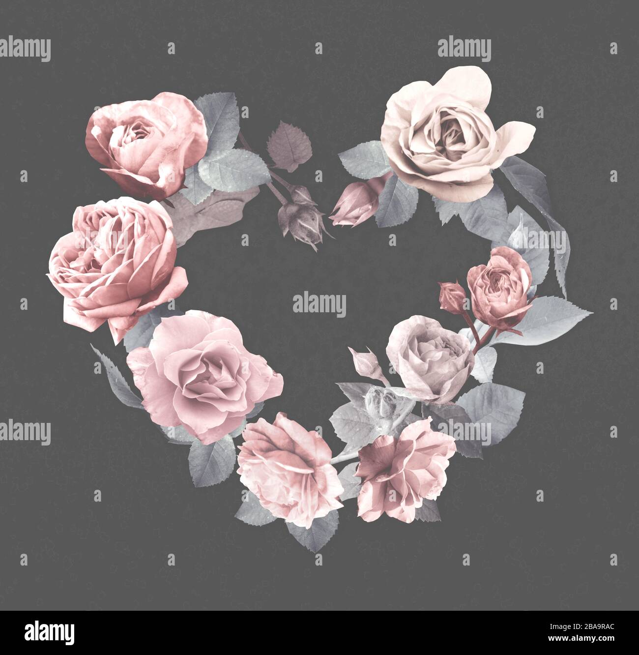 Heart with pink roses on dark background in vintage colors Stock Photo ...