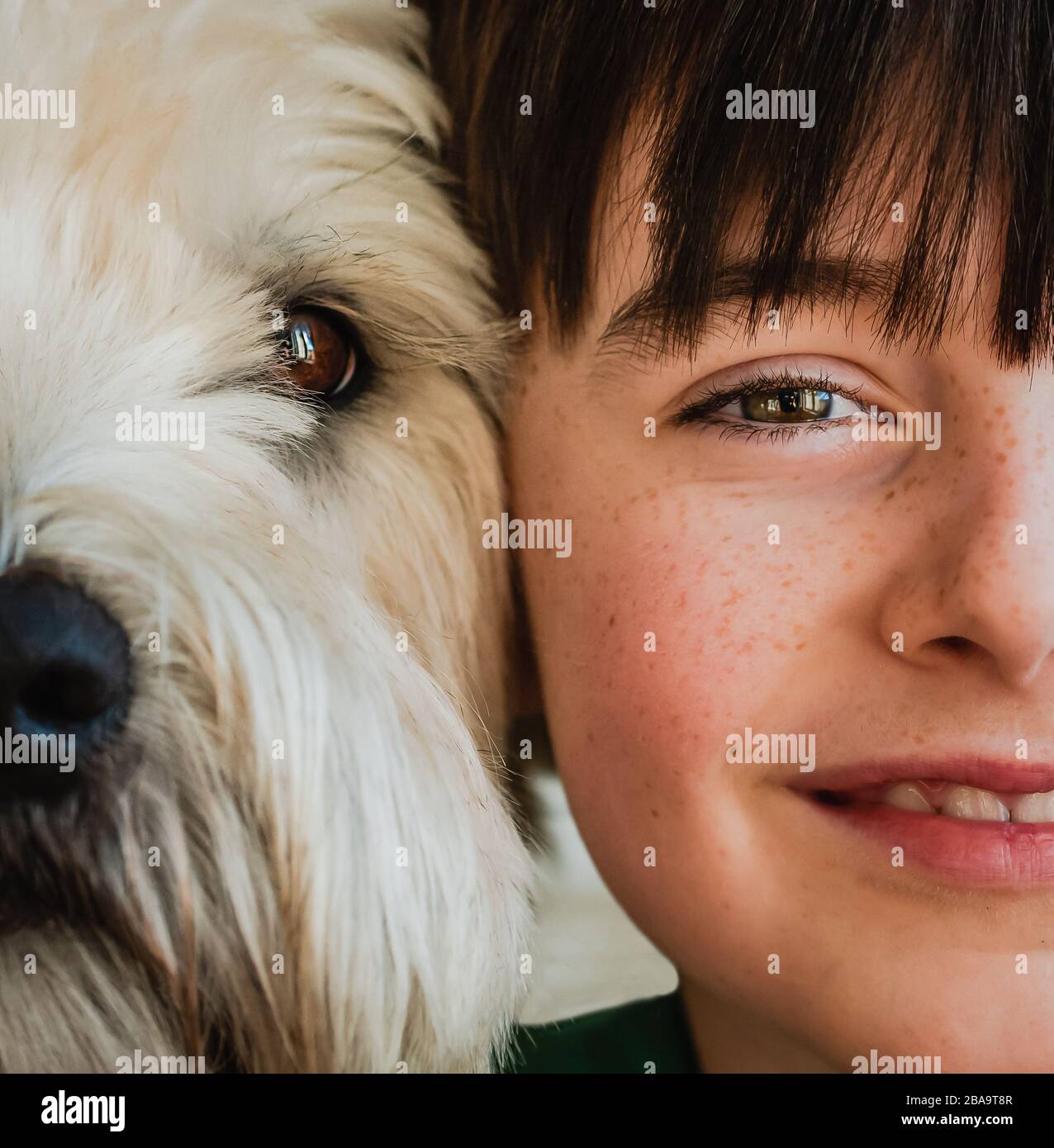 Person dog heads together hi-res stock photography and images - Alamy