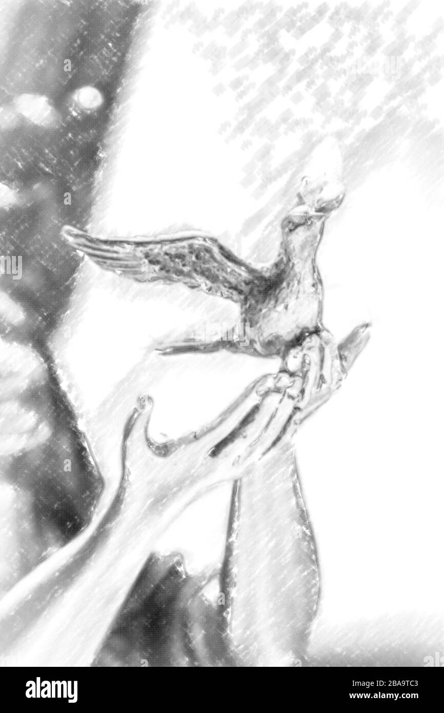 Dove Flying Away Drawing