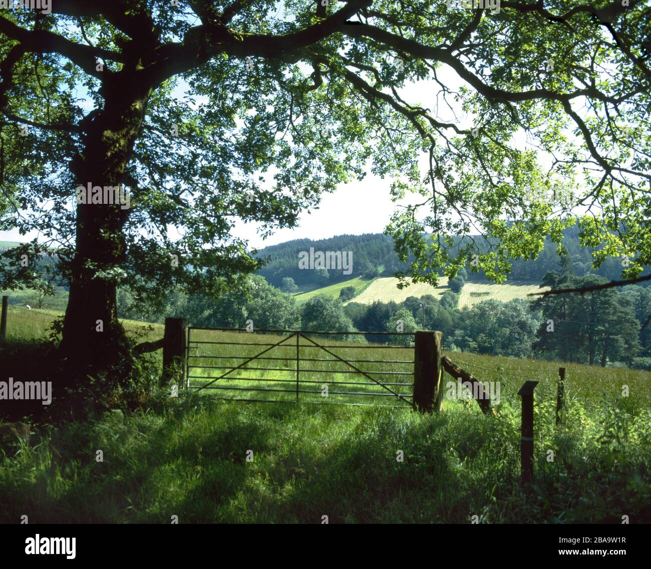 Garwnant visitor centre hi-res stock photography and images - Alamy