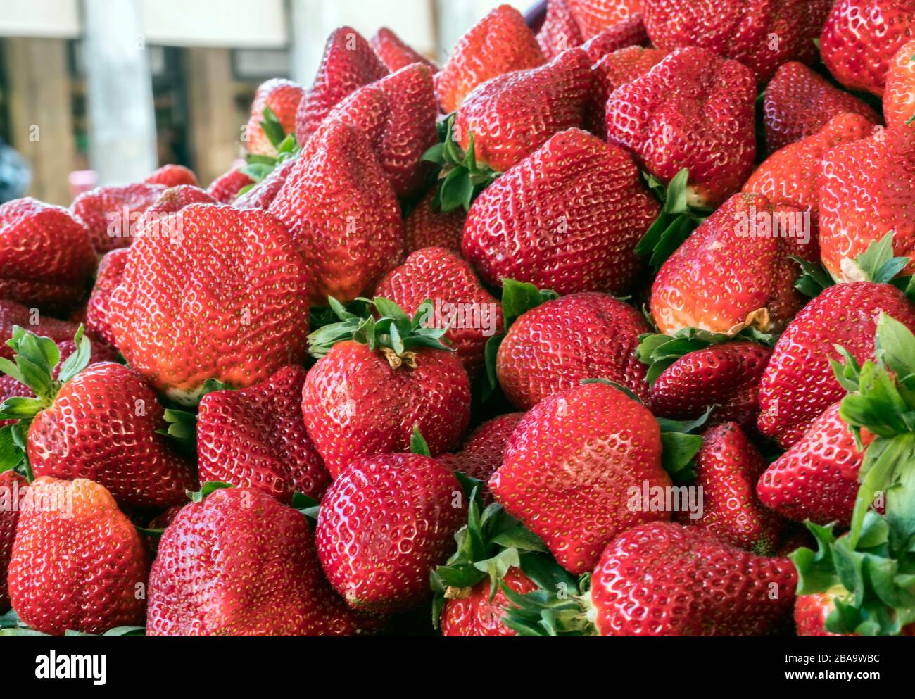 Group several organic strawberries hi-res stock photography and images ...