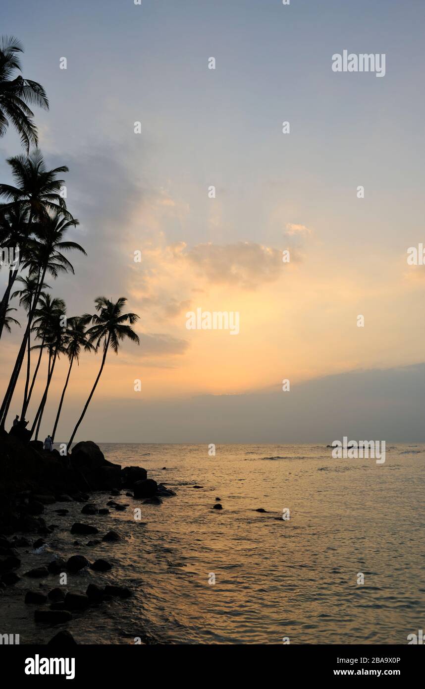 Sunset with coconut palm trees hi-res stock photography and images - Alamy