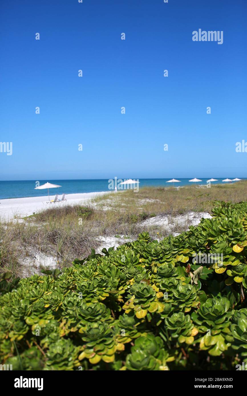 Looking Across A Gulf Coast Florida Beach Stock Photo - Alamy