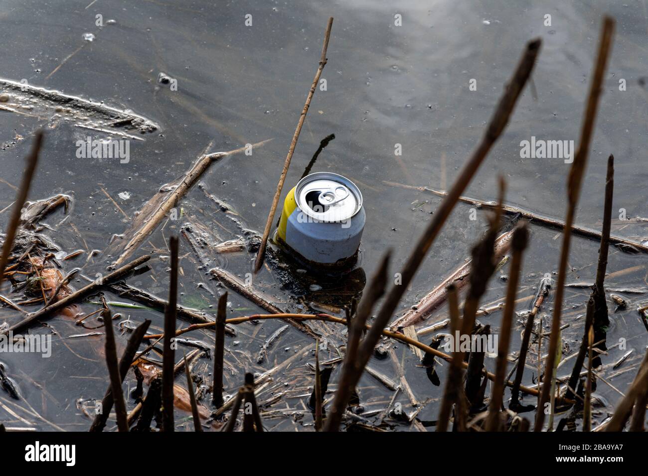 Floating beer can hi-res stock photography and images - Alamy