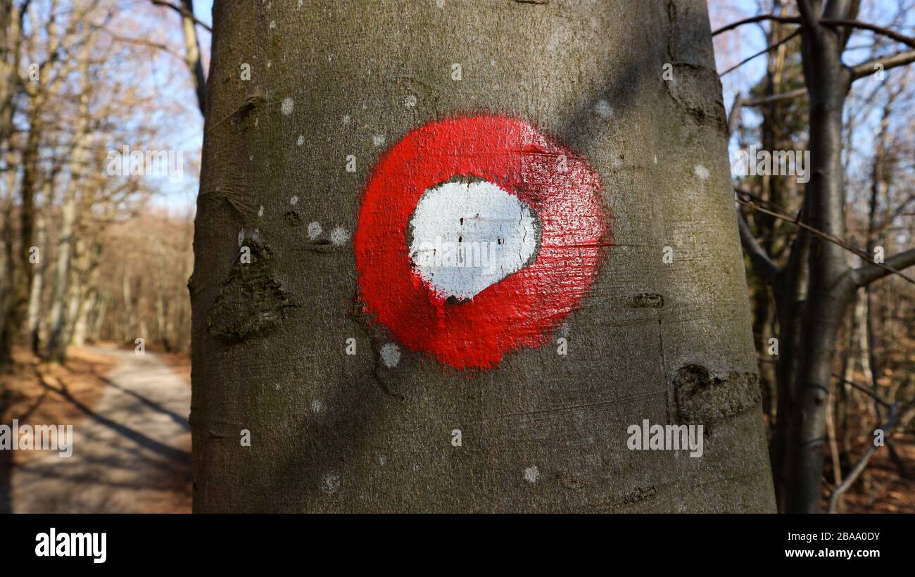 Mountain climbing following red and white guide marks Stock Photo - Alamy