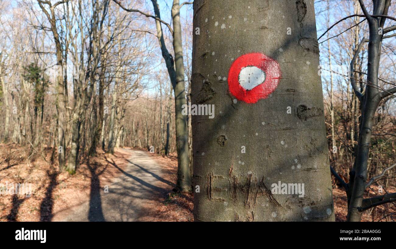 Mountain climbing following red and white guide marks Stock Photo - Alamy