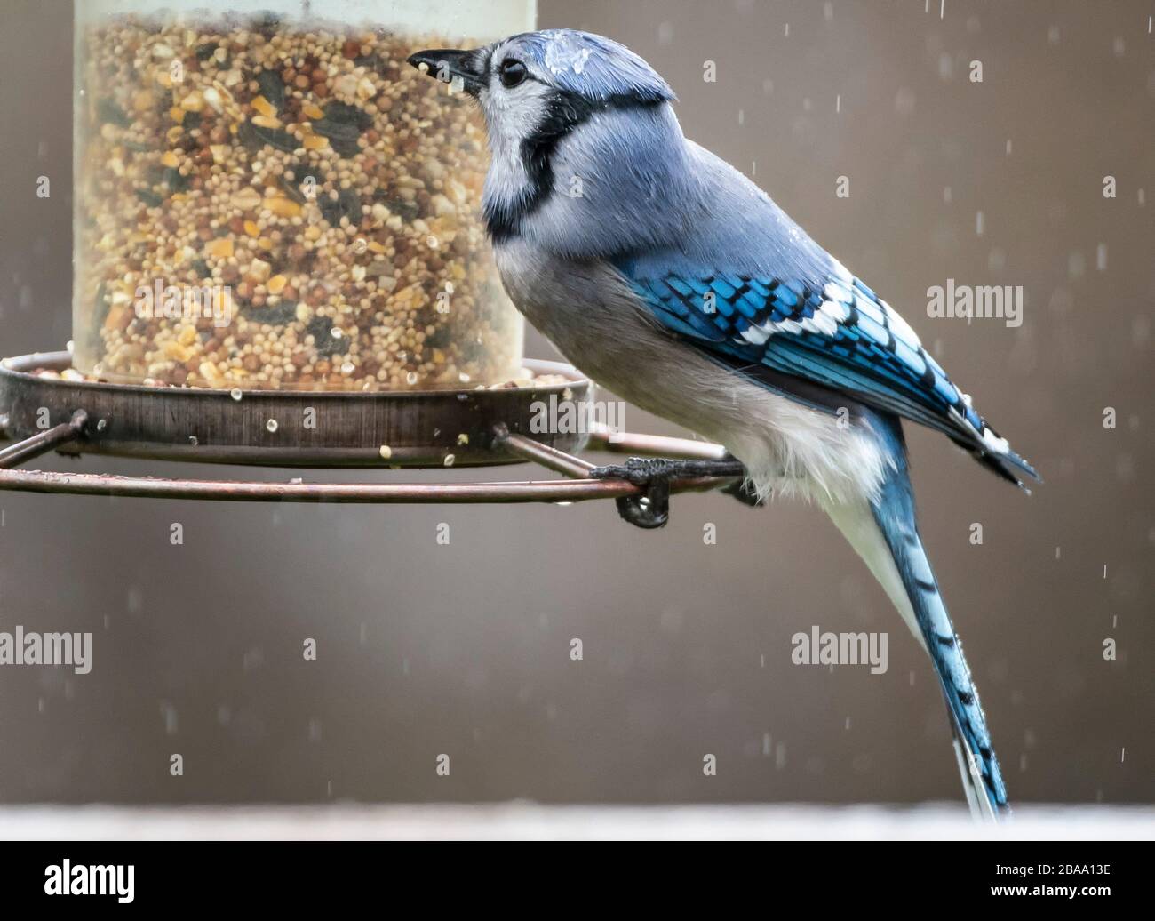 On the rim Stock Photo - Alamy