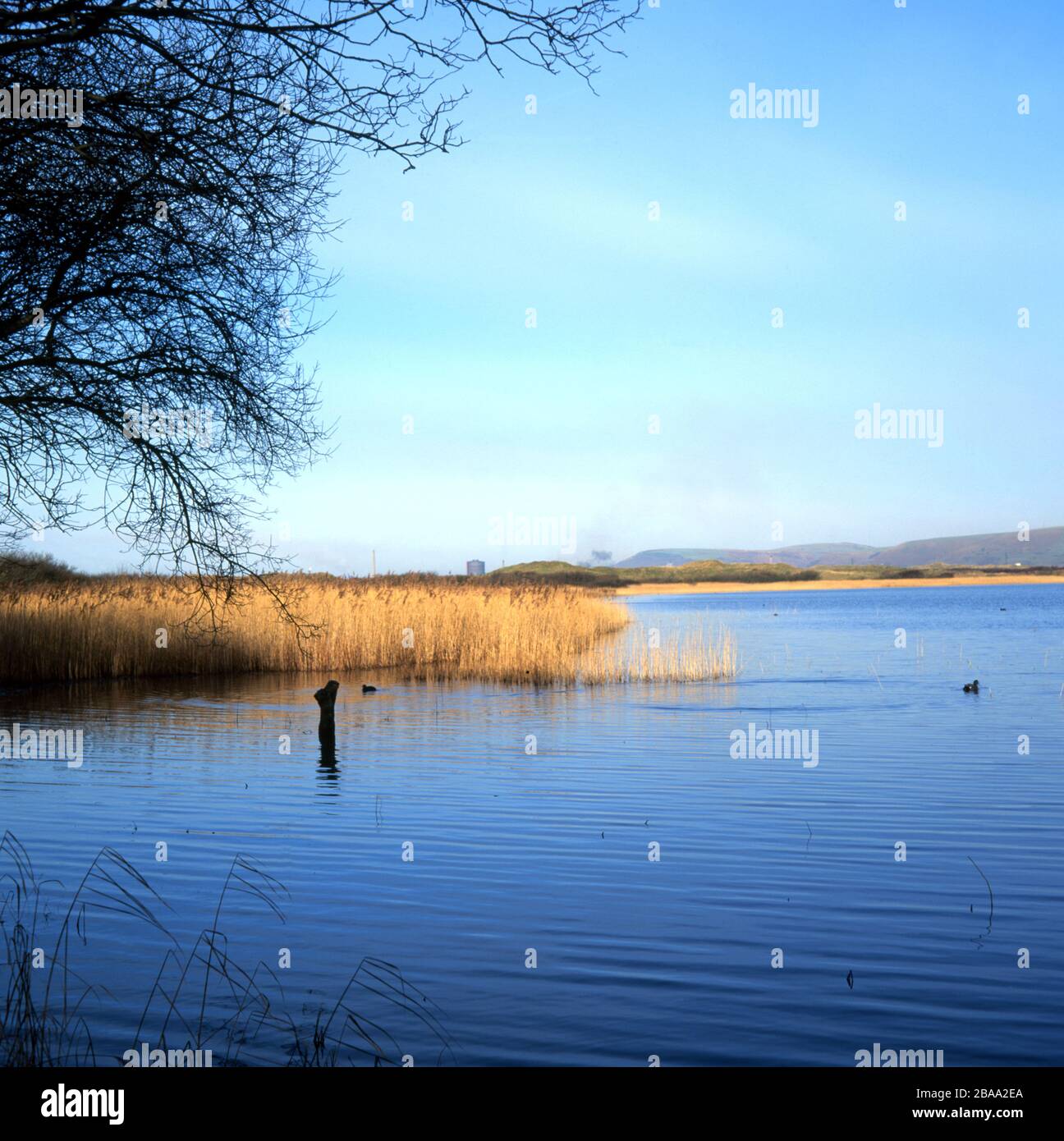 Kenfig Pool, Kenfig National Nature Reserve, near Porthcawl, Glamorgan ...