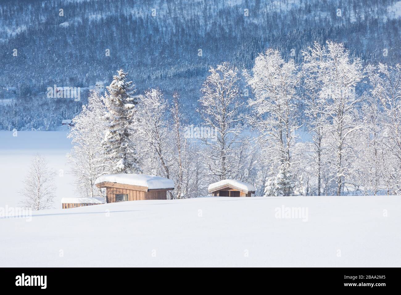 Amazing landscape After the first snow over the mountain, Colorado, USA ...