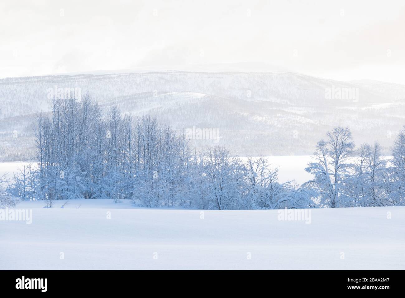 Amazing landscape After the first snow over the mountain, Colorado, USA ...