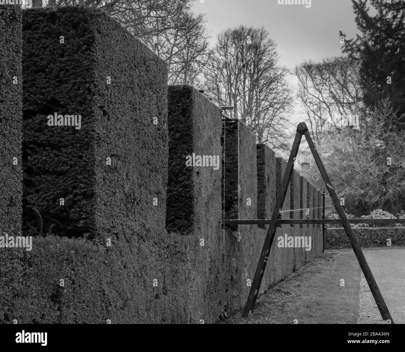 Straight hedges hi-res stock photography and images - Alamy