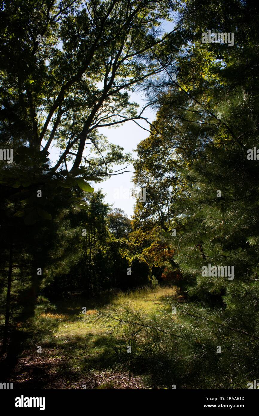 East Hampton Nature preserve 1 Stock Photo - Alamy