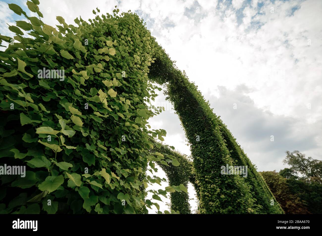 Topiary Tree Park High Resolution Stock Photography and Images - Alamy