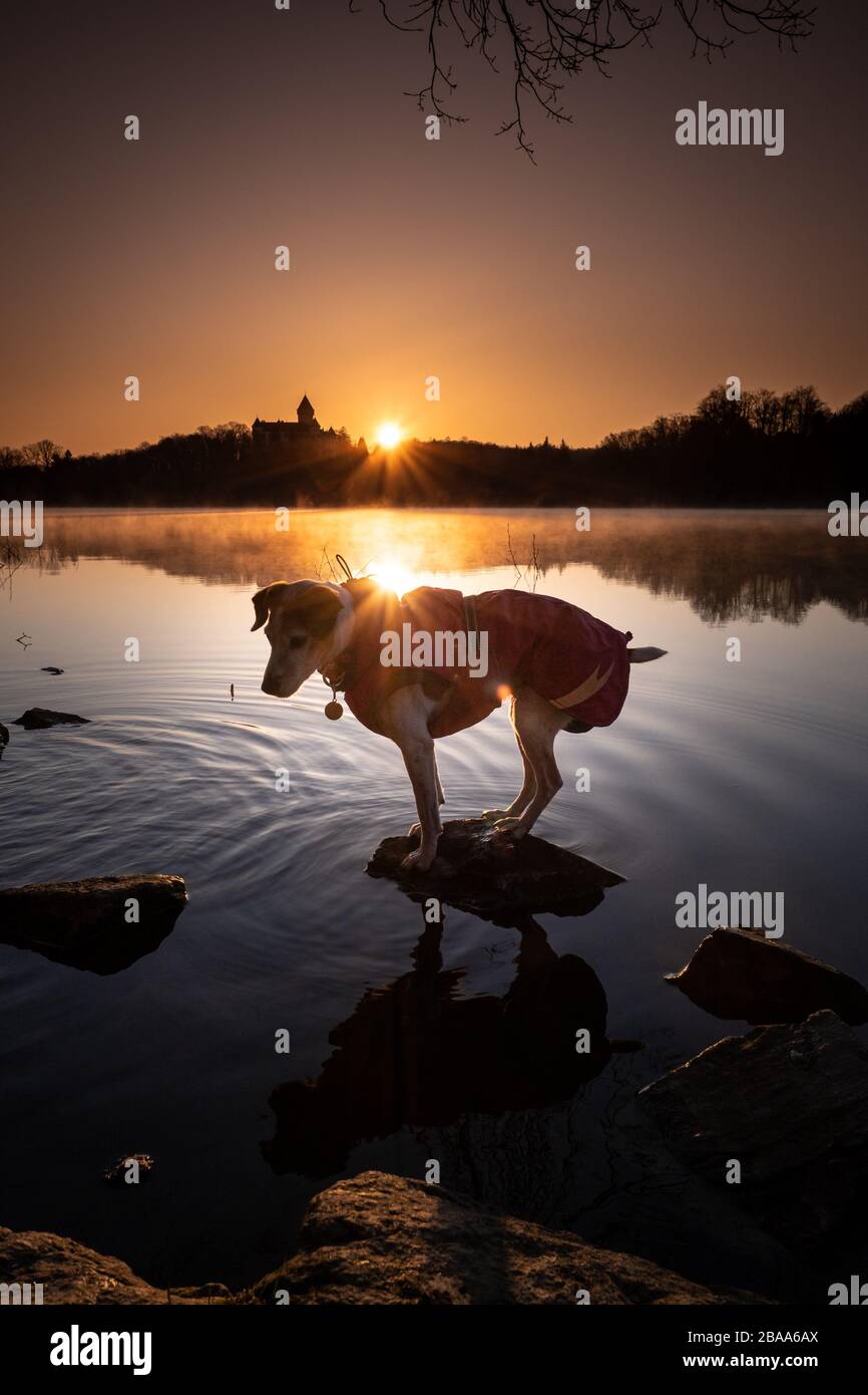 Konopiste is a four-winged, three-storey chateau located in the Czech ...