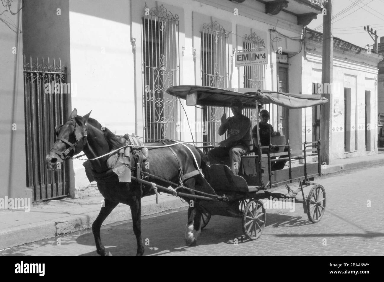 Horse and cart Havana Cuba Pony and trap pony street streets canopy ...