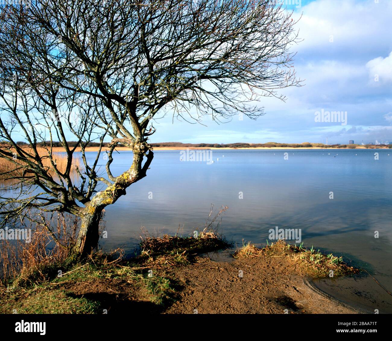 Kenfig pool national nature reserve hi-res stock photography and images ...