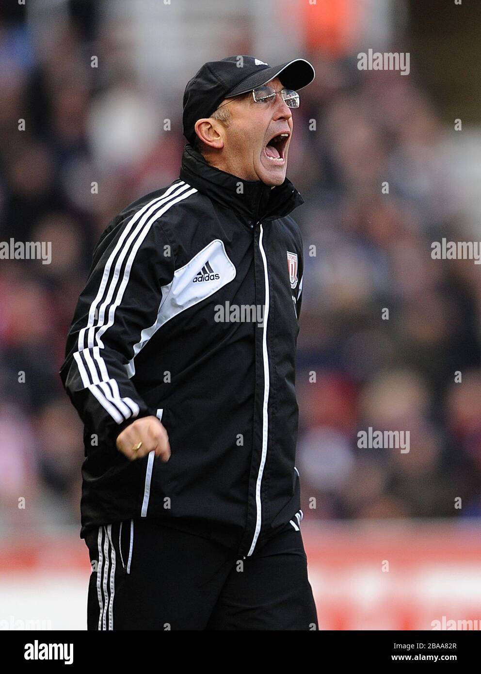 Pulis hi-res stock photography and images - Alamy