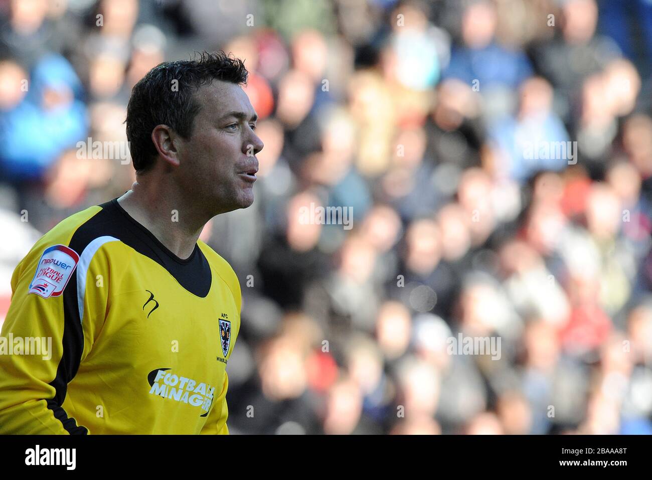 AFC Wimbledon goalkeeper Neil Sullivan Stock Photo - Alamy