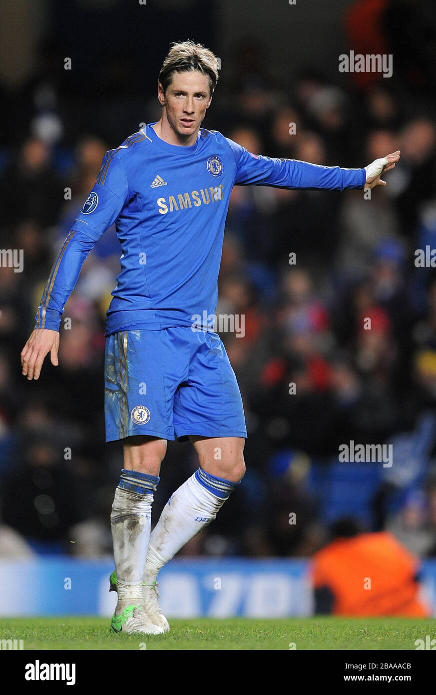 Fernando Torres, Chelsea Stock Photo - Alamy
